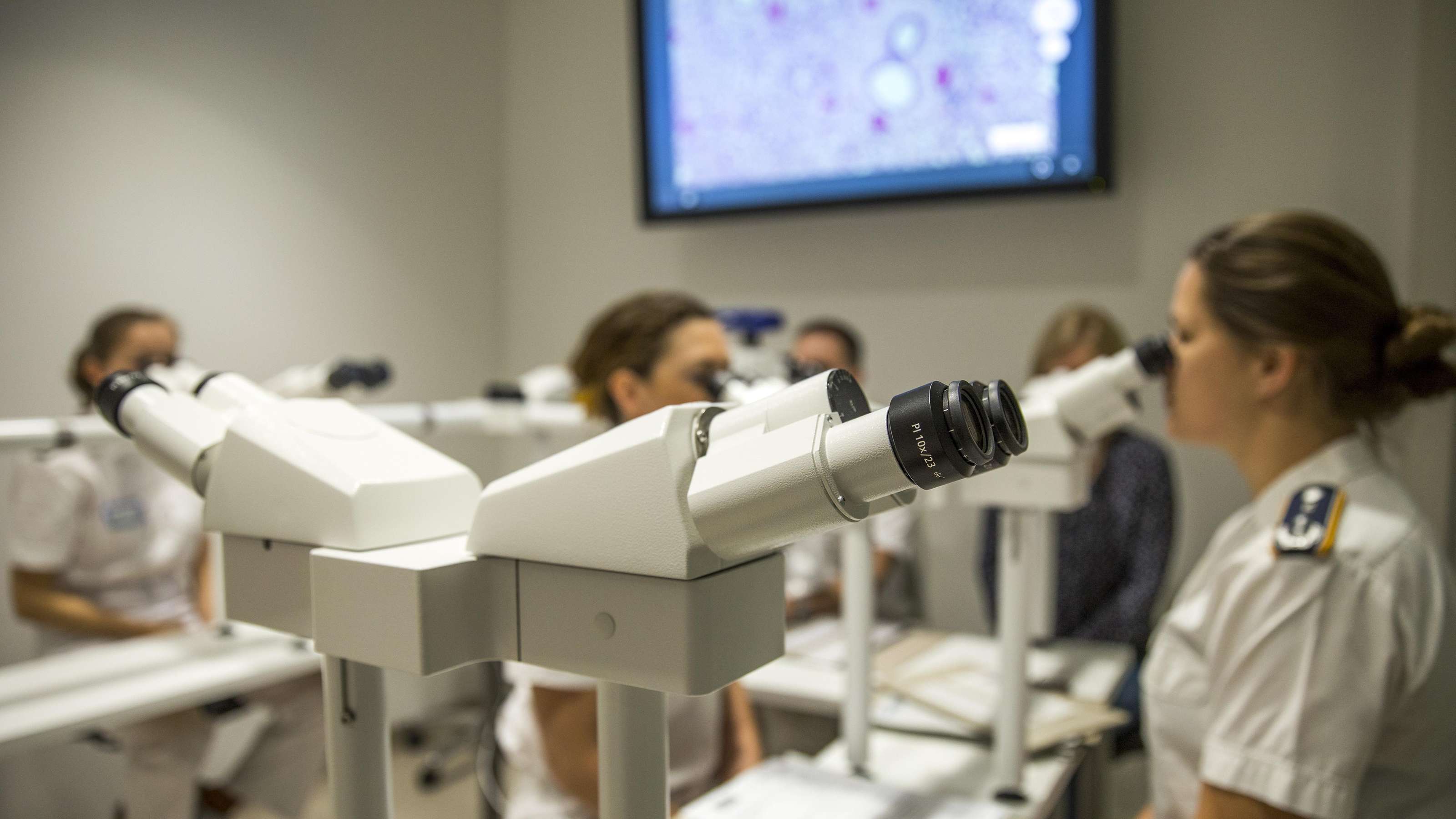 Pathologie und Molekularpathologie
